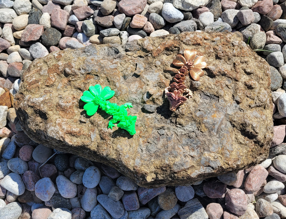 Tadling - Clover Dragon – The Gummy Jelly Co